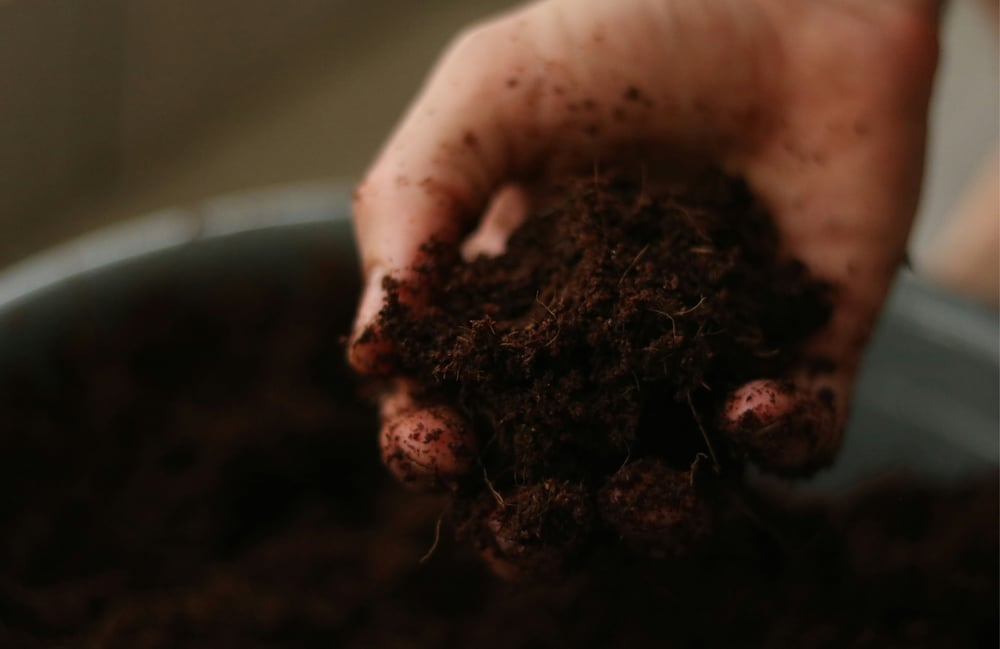 Soil & Rhizosphere | Cosmos-Hub